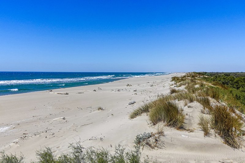 Arles in Frankreich: Sehenswürdigkeiten, Altstadt & mehr