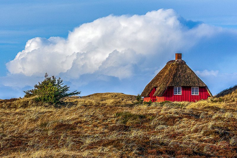 Ringkøbing Fjord in Dänemark: Tipps zum Naturparadies