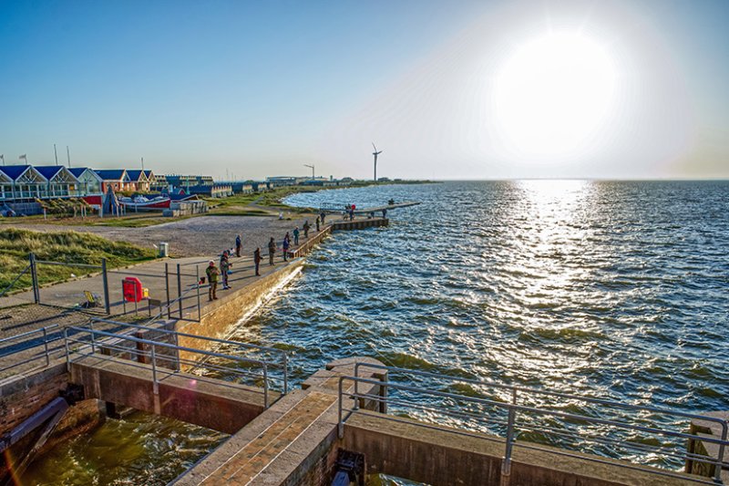 Ringkøbing Fjord in Dänemark: Tipps zum Naturparadies