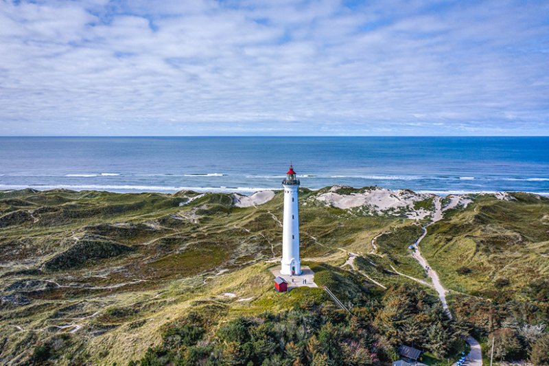 Ringkøbing Fjord in Dänemark: Tipps zum Naturparadies