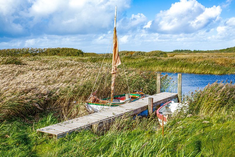 Ringkøbing Fjord in Dänemark: Tipps zum Naturparadies