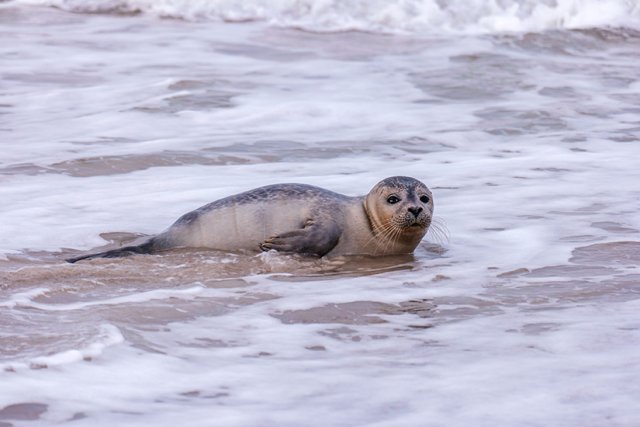 Deutsche Inseln: Unsere Top 10 an Nord- und Ostsee