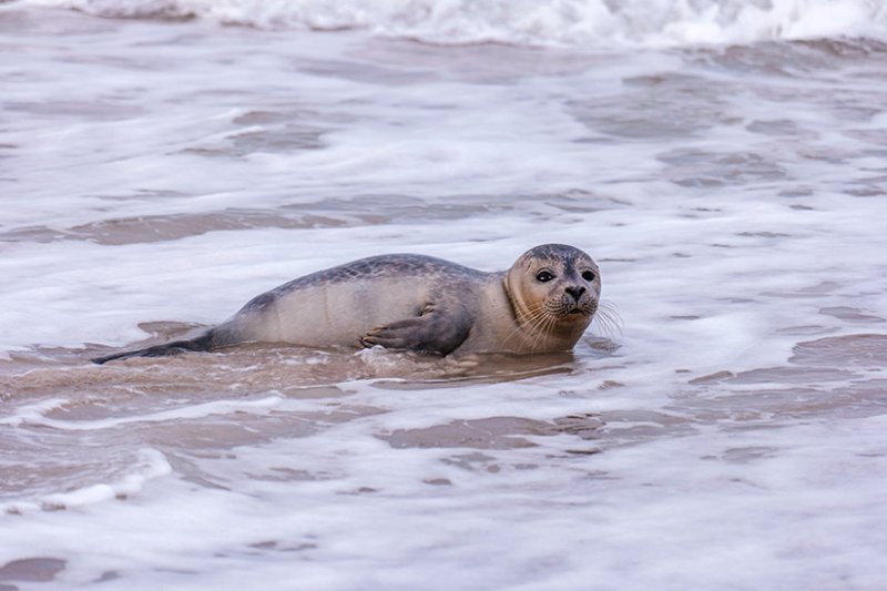 Deutsche Inseln: Unsere Top 10 an Nord- und Ostsee