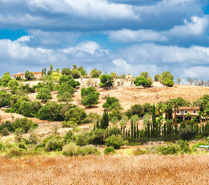Manacor auf Mallorca: Shoppen, Strände & Sehenswürdigkeiten