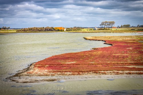 Renesse in den Niederlanden: Strand & Sehenswürdigkeiten