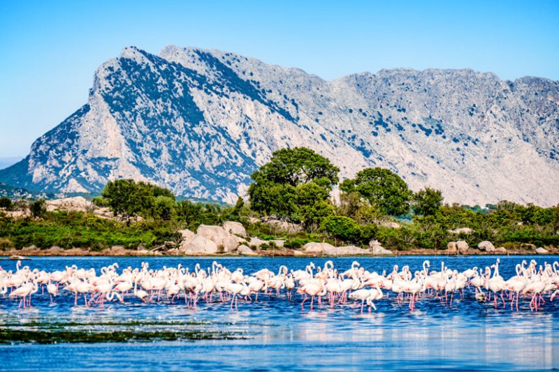 San Teodoro auf Sardinien: Strand und Sehenswürdigkeiten