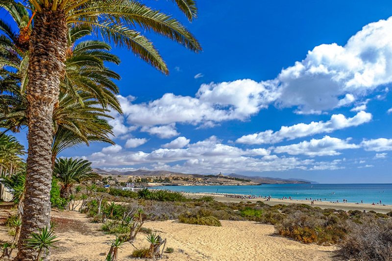 Schönste Strände auf Fuerteventura: Top 10 auf der Insel