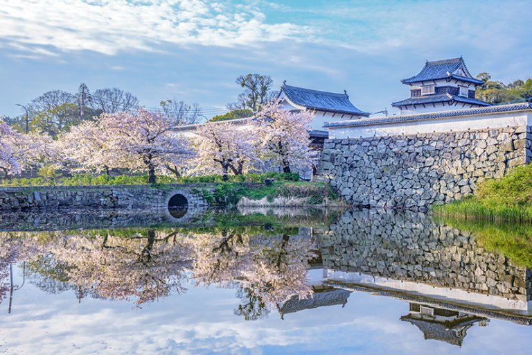 Fukuoka in Japan entdecken: Sehenswürdigkeiten und Aktivitäten