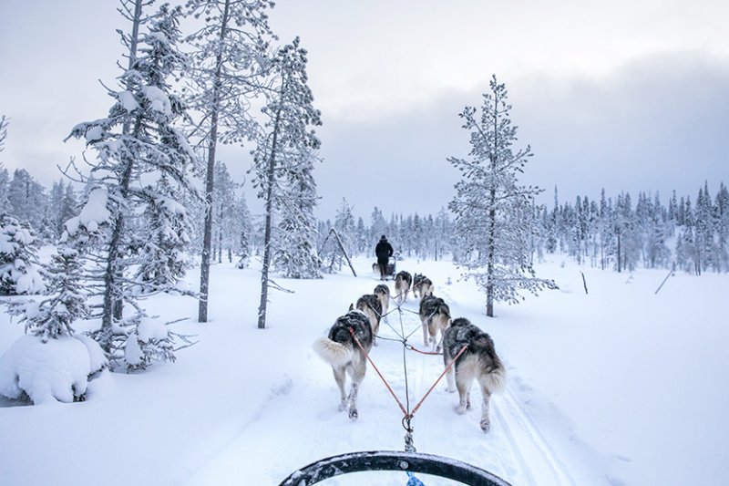 Kuusamo in Finnland: Aktivitäten und Sehenswürdigkeiten